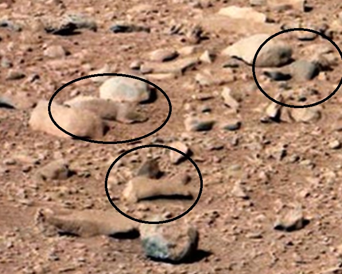 Pentagon releases UFO footage | Page 312 | Overclockers UK Forums